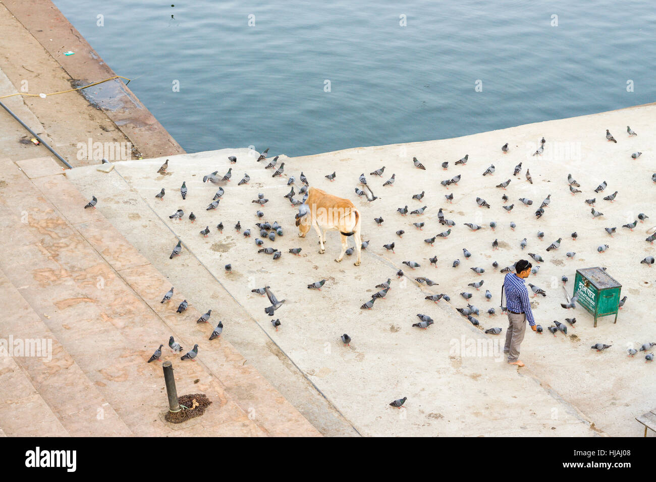 Life at the ghats river. Pushkar, Rajasthan, India Stock Photo - Alamy