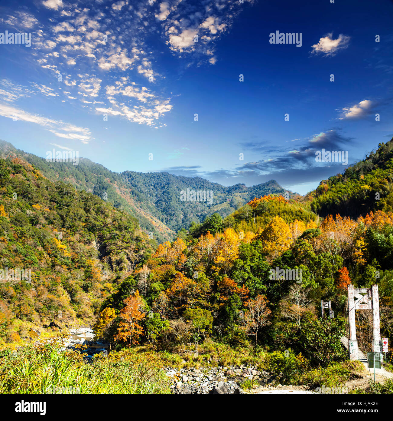 ground, soil, earth, humus, reflection, date, time, time indication ...