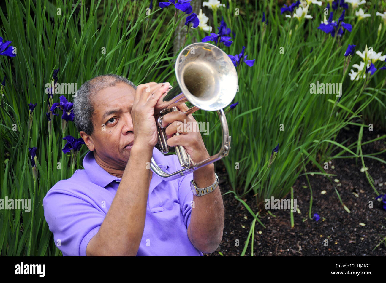 African horn instrument hi-res stock photography and images - Alamy