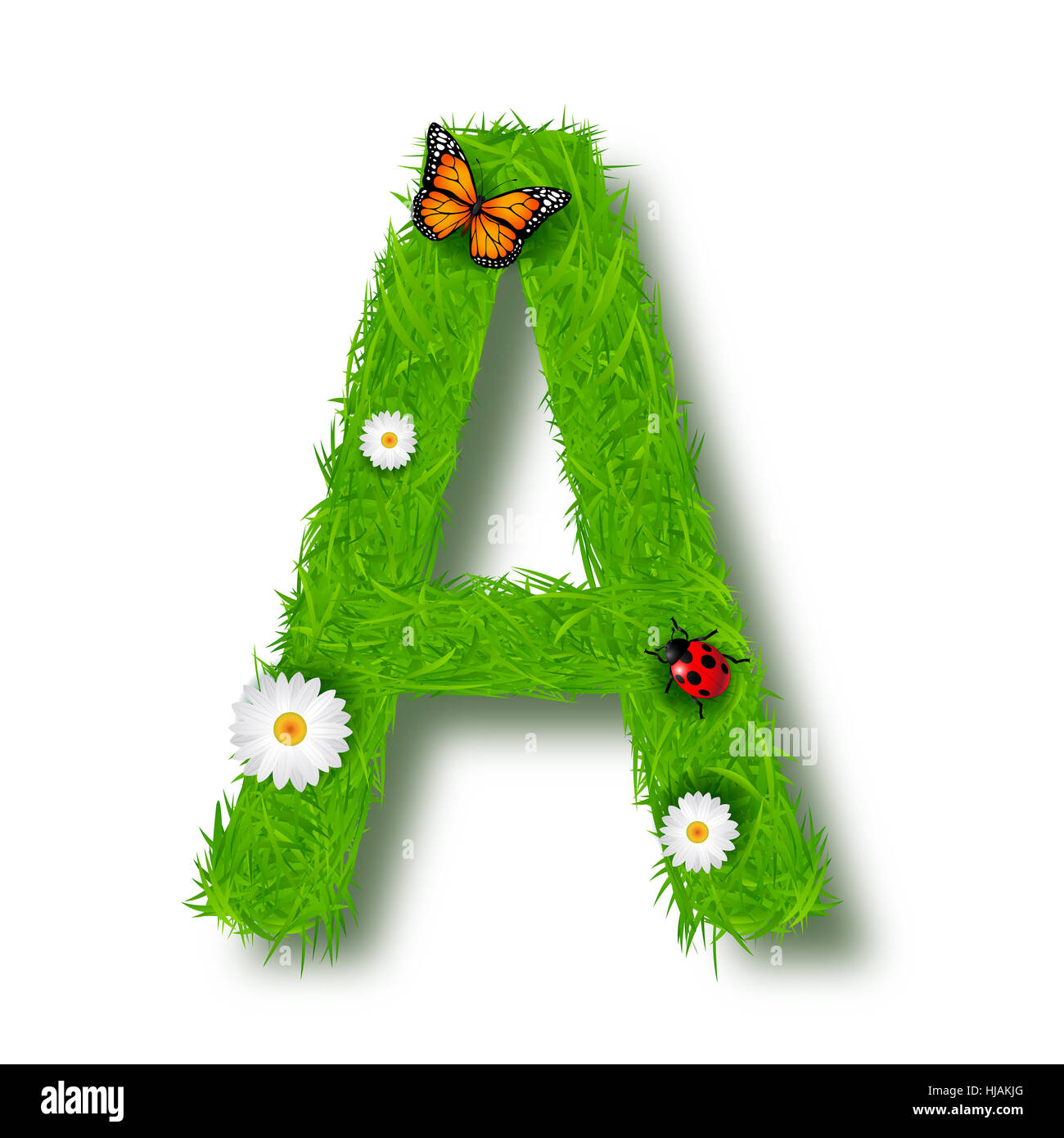 insect, flower, plant, alphabet, cartoon, meadow, grass, lawn, green ...