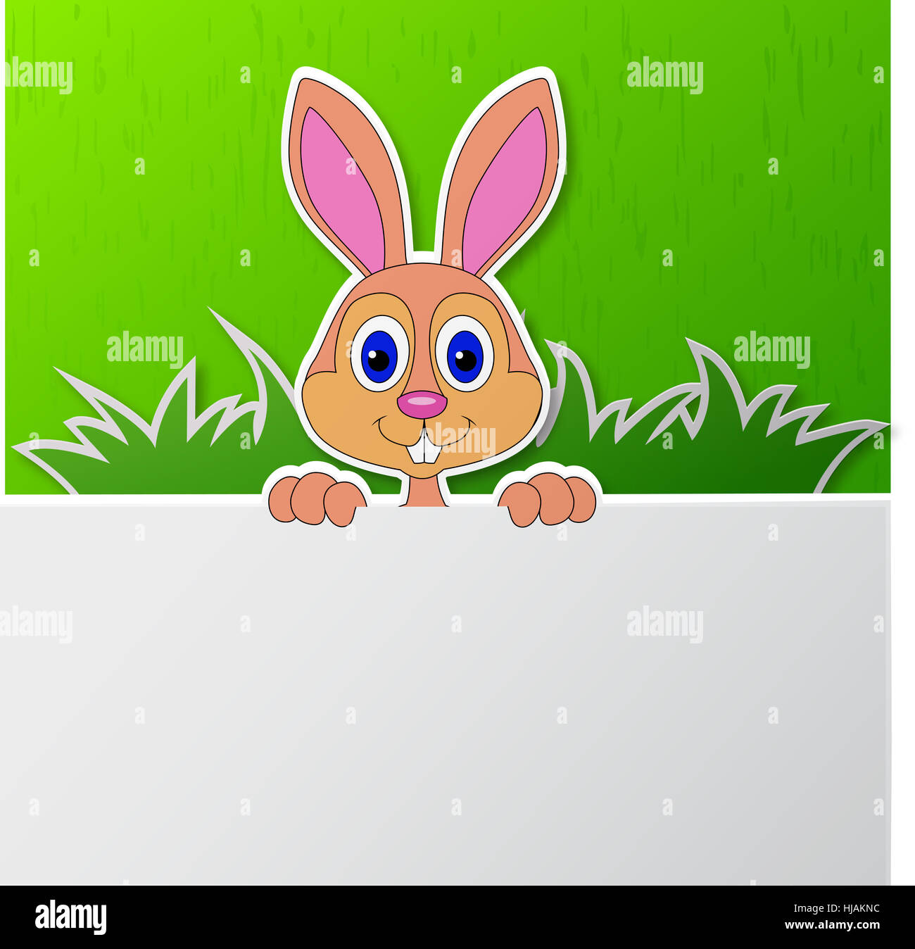 pet, fur, rabbit, keep, cartoon, maddening, pert, coquettish, cute ...