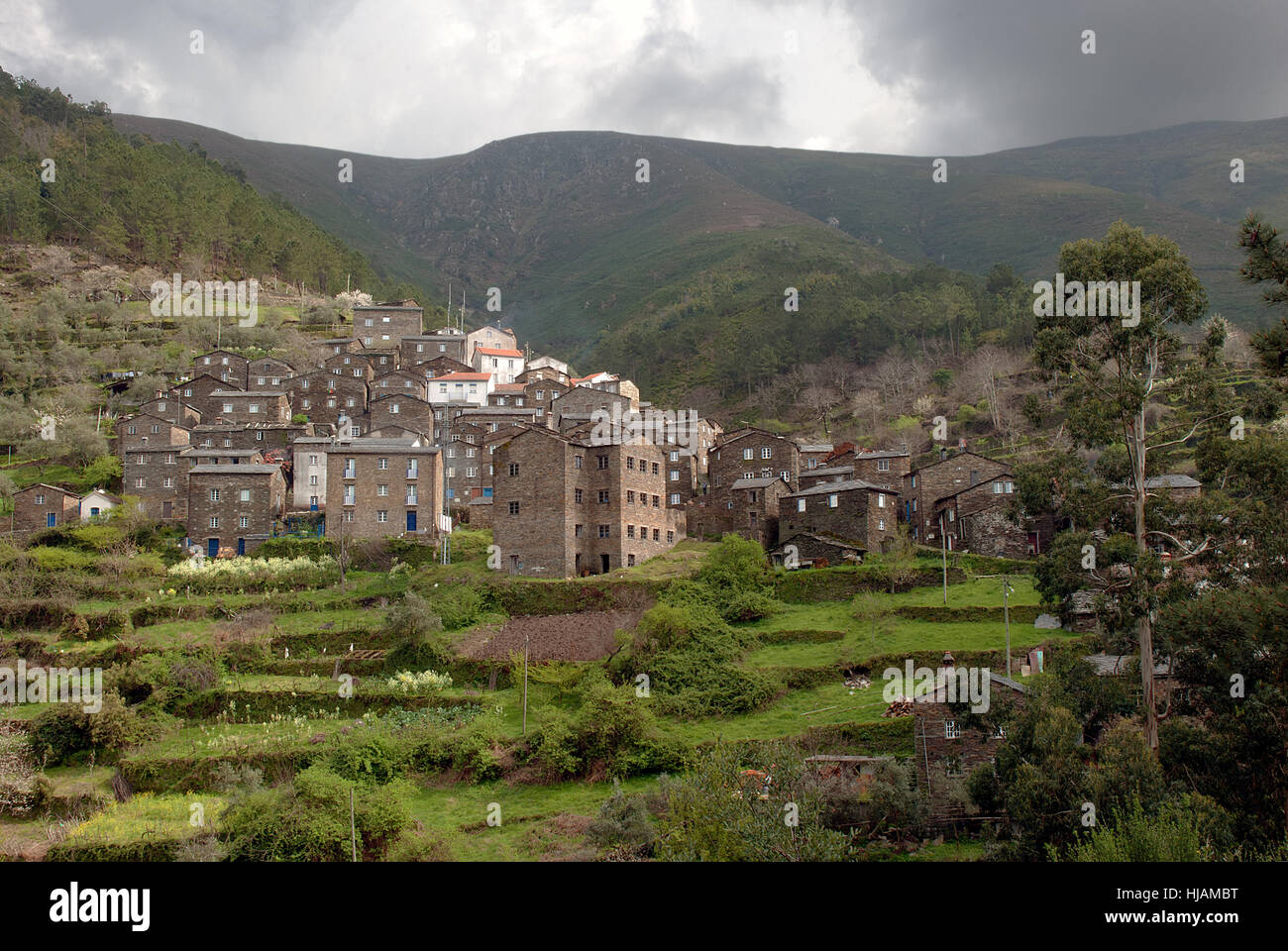 house, building, beautiful, beauteously, nice, travel, city, town, tree ...