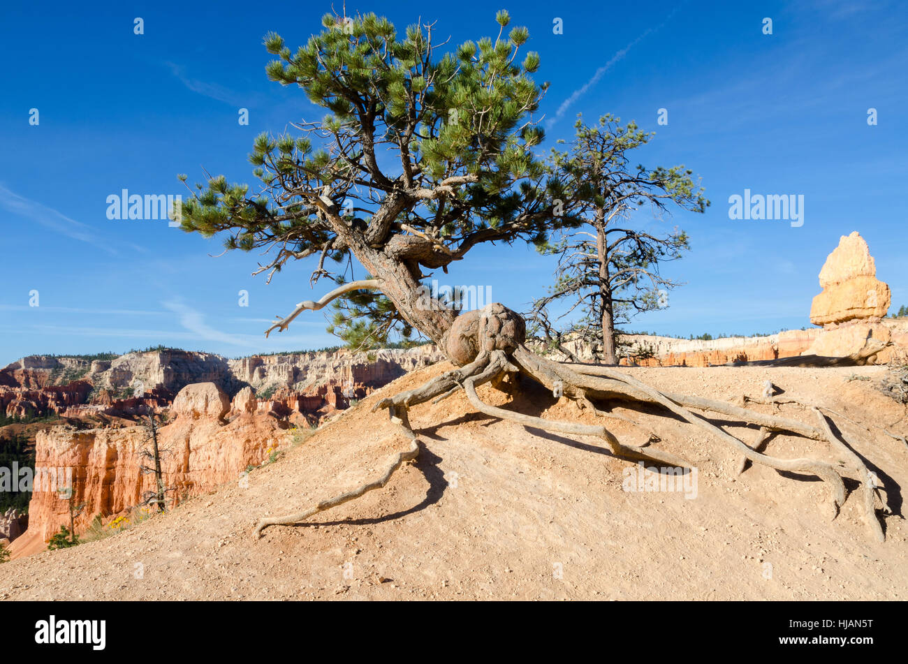 environment, enviroment, america, plateau, environment, enviroment ...
