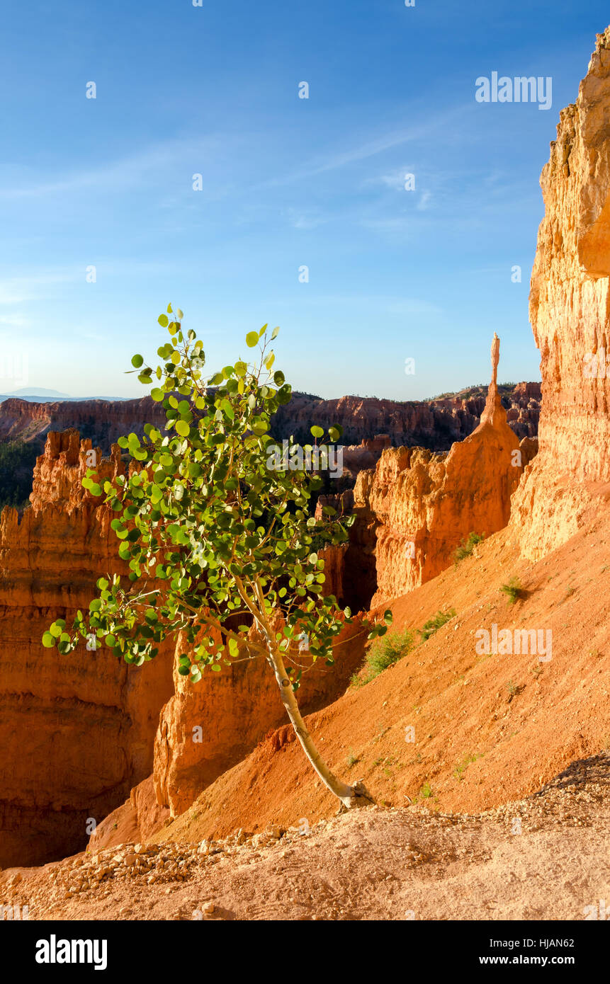environment, enviroment, america, plateau, environment, enviroment ...