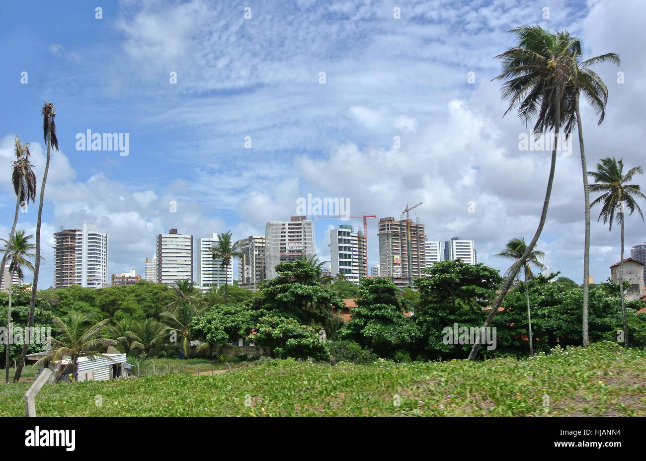skycraper, brazil, apartments, flats, apartment building, residential ...