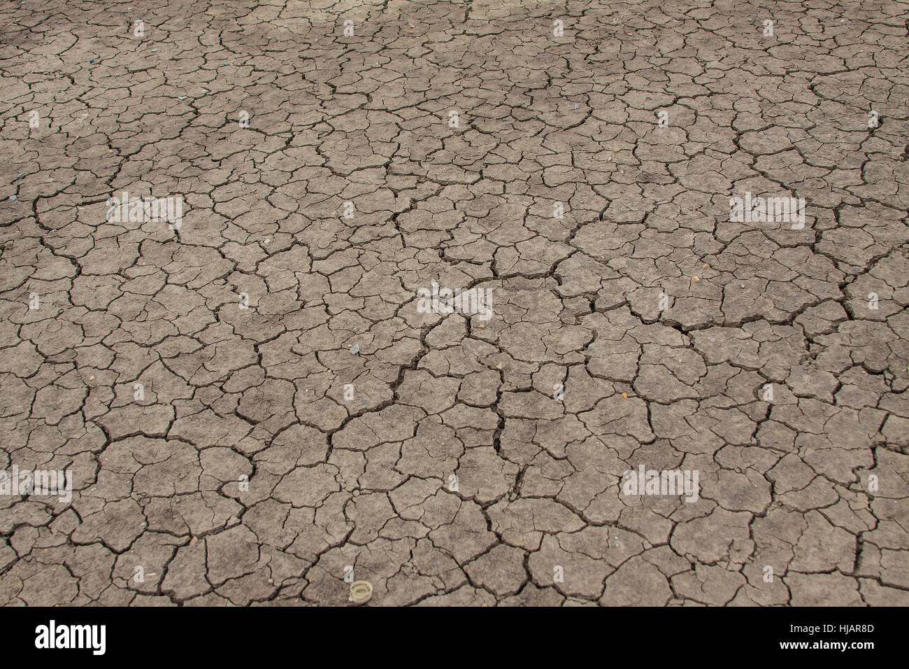 Crack soil on dry season, global worming effect Stock Photo - Alamy