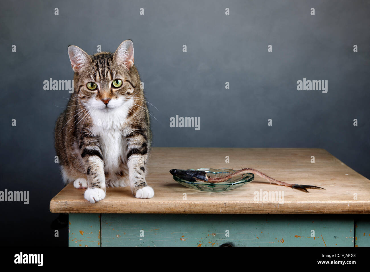 Yellow herring bones hi-res stock photography and images - Alamy