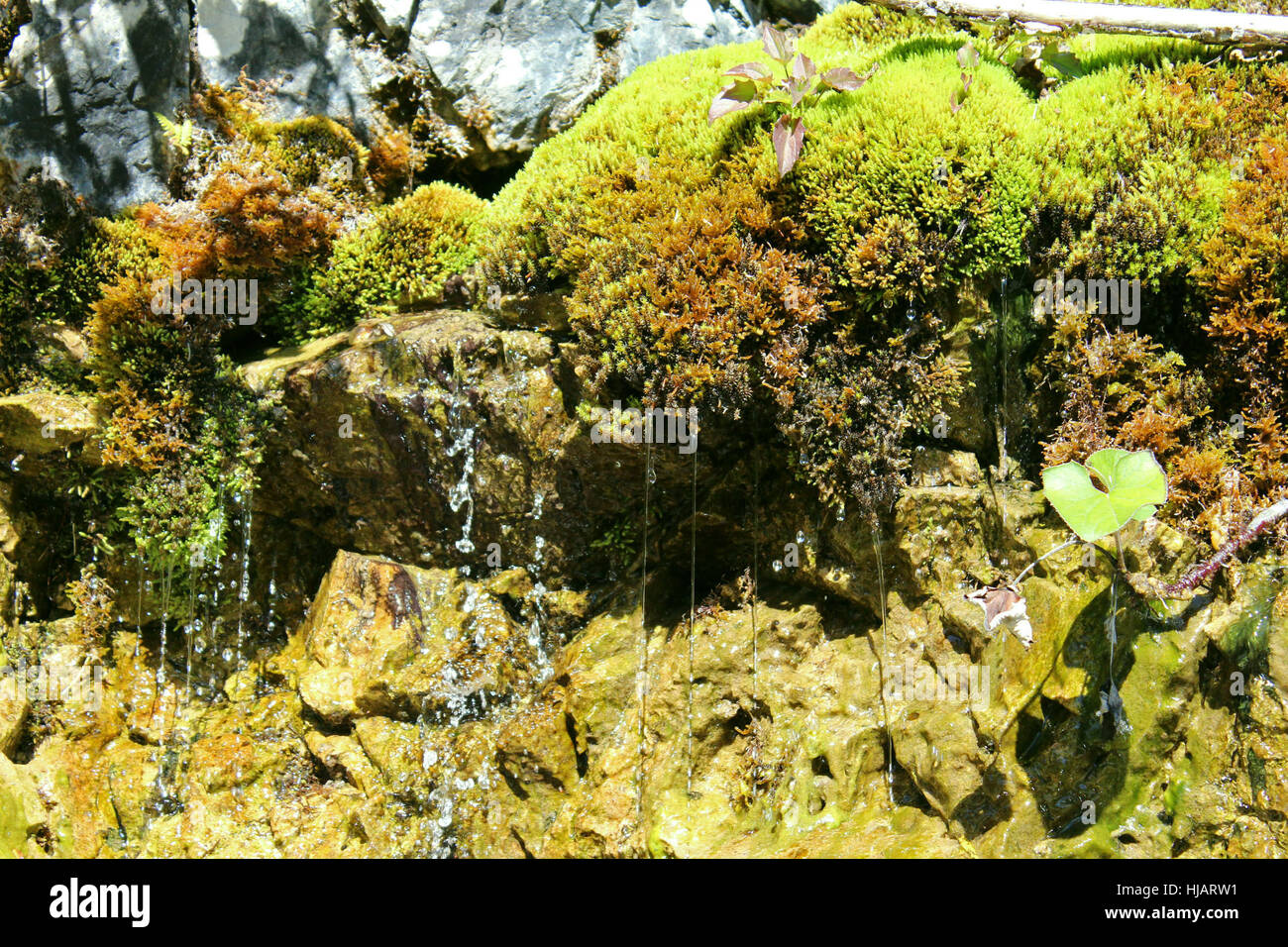 raindrop, stream, droplet, fresh water, lake, inland water, water, rain ...