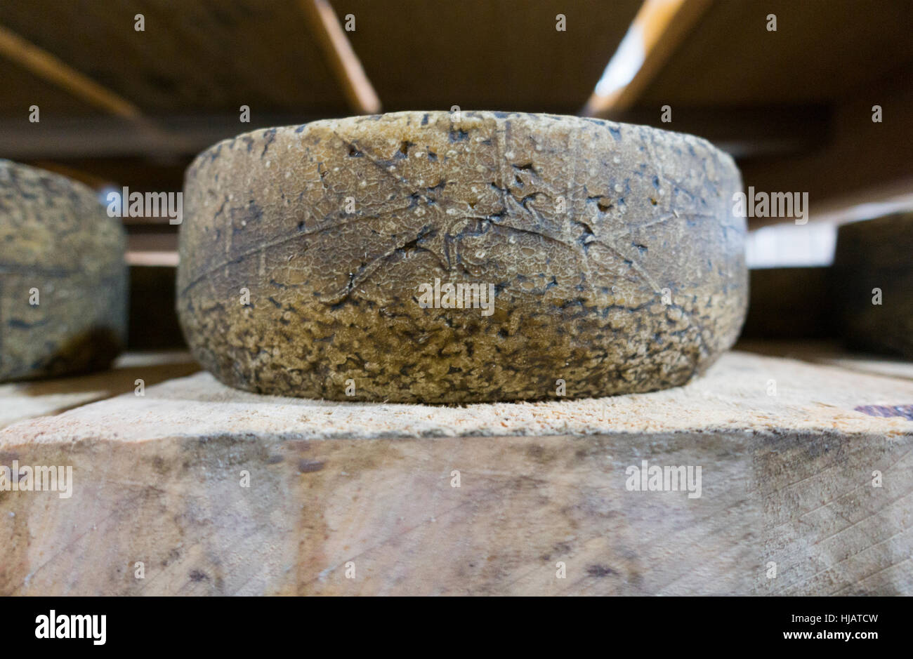 Crown cheese finish caves in Brooklyn nyc Stock Photo - Alamy