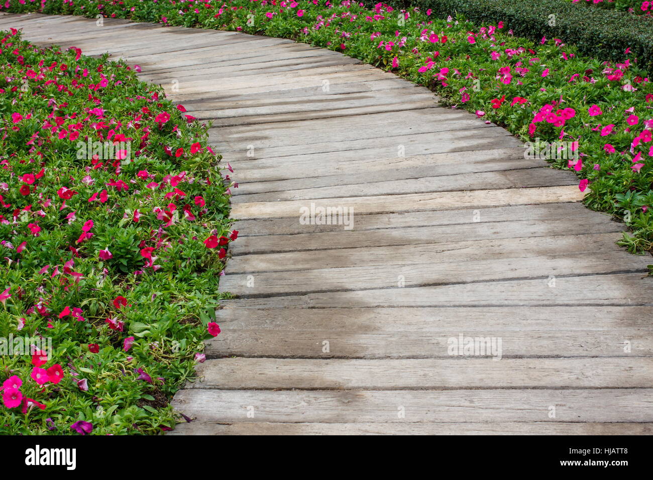 Walk in the park Filled with flower garden Stock Photo - Alamy