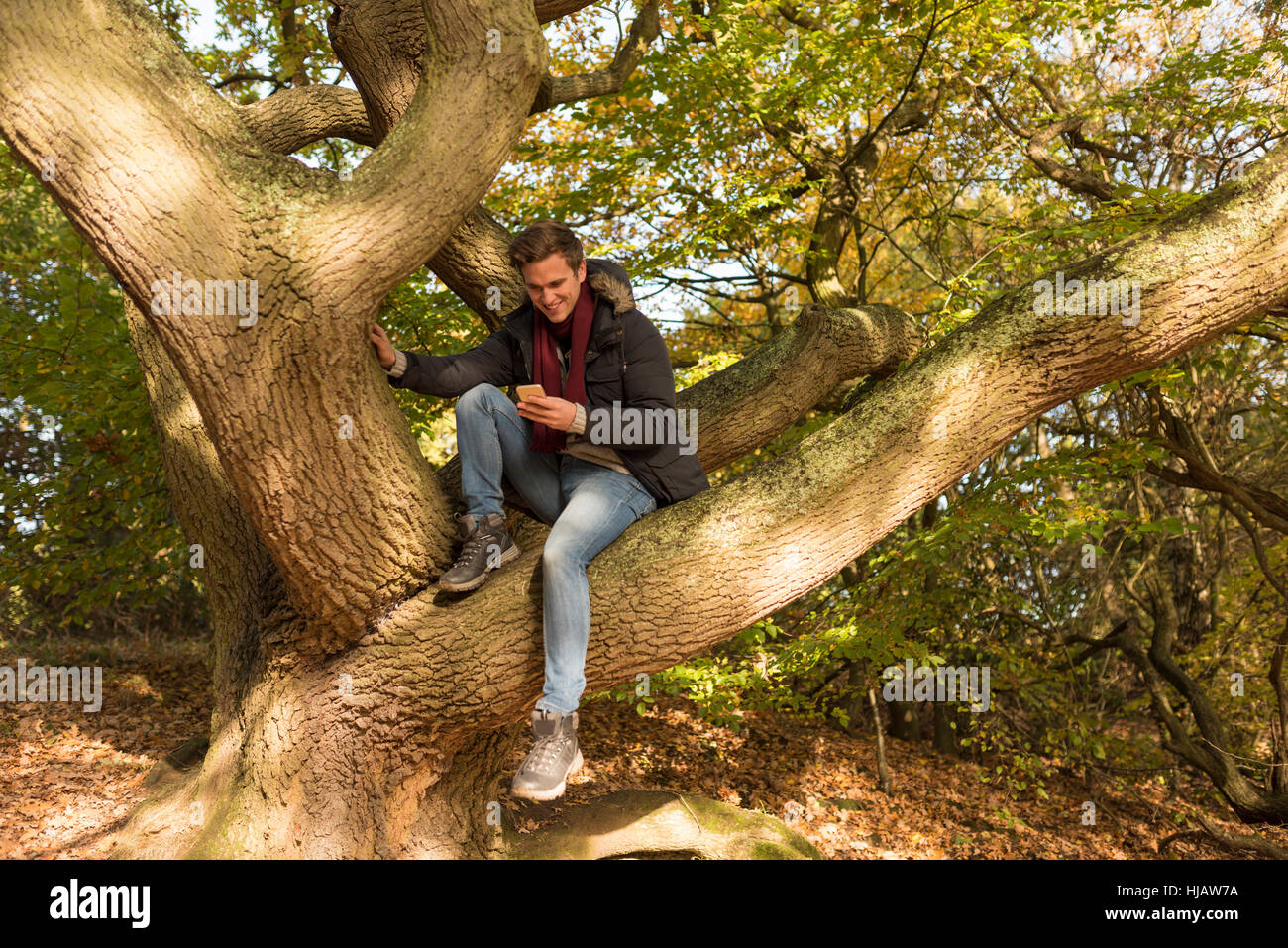 Man sitting in tree hi-res stock photography and images - Alamy