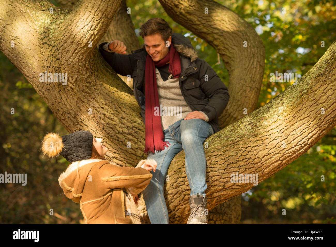 Young man sitting in tree, looking down at young woman on ground Stock ...