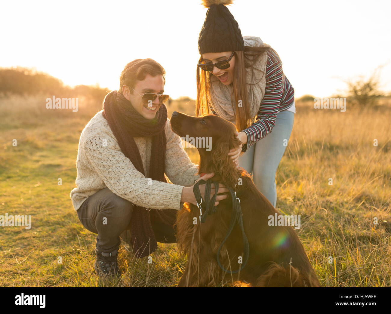 Young couple walking dog in field Stock Photo - Alamy