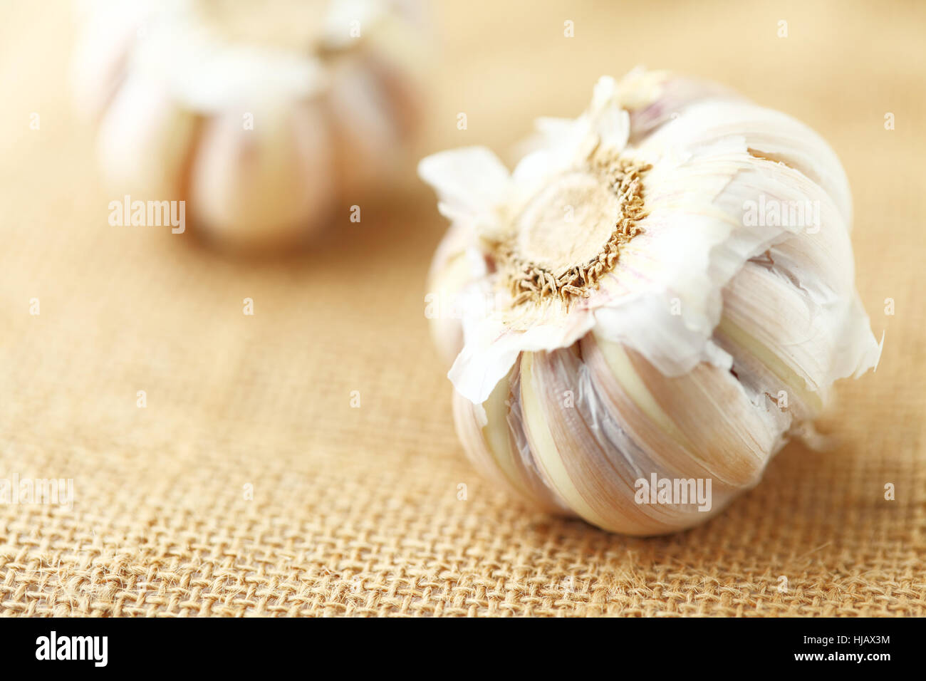 food, aliment, spice, condiment, ripe, purple, aromatic, root ...