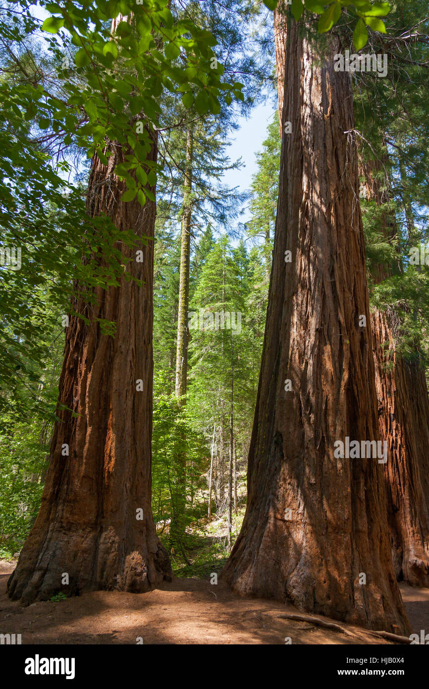 travel, big, large, enormous, extreme, powerful, imposing, immense ...