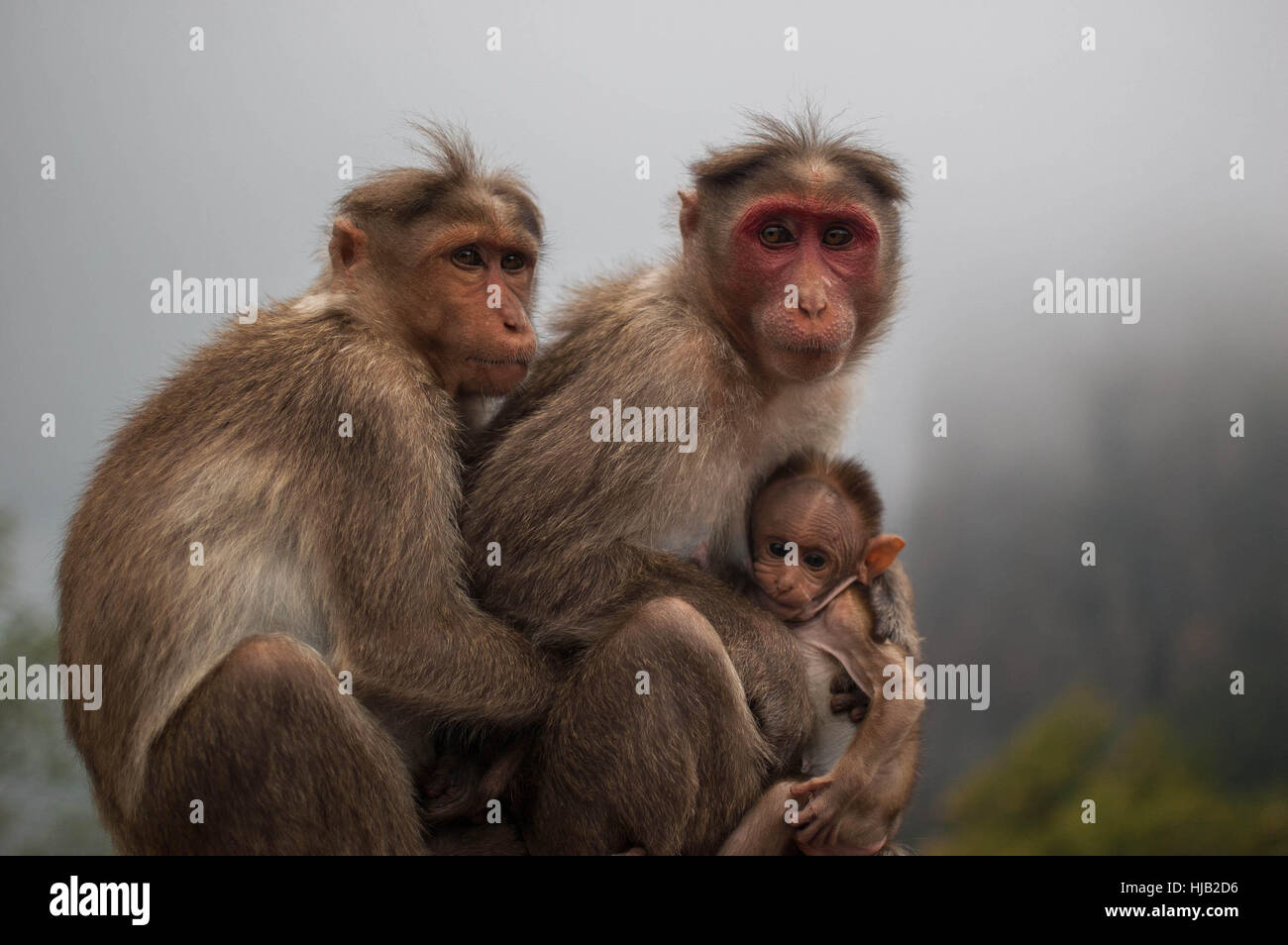 Mother protect child india hi-res stock photography and images - Alamy