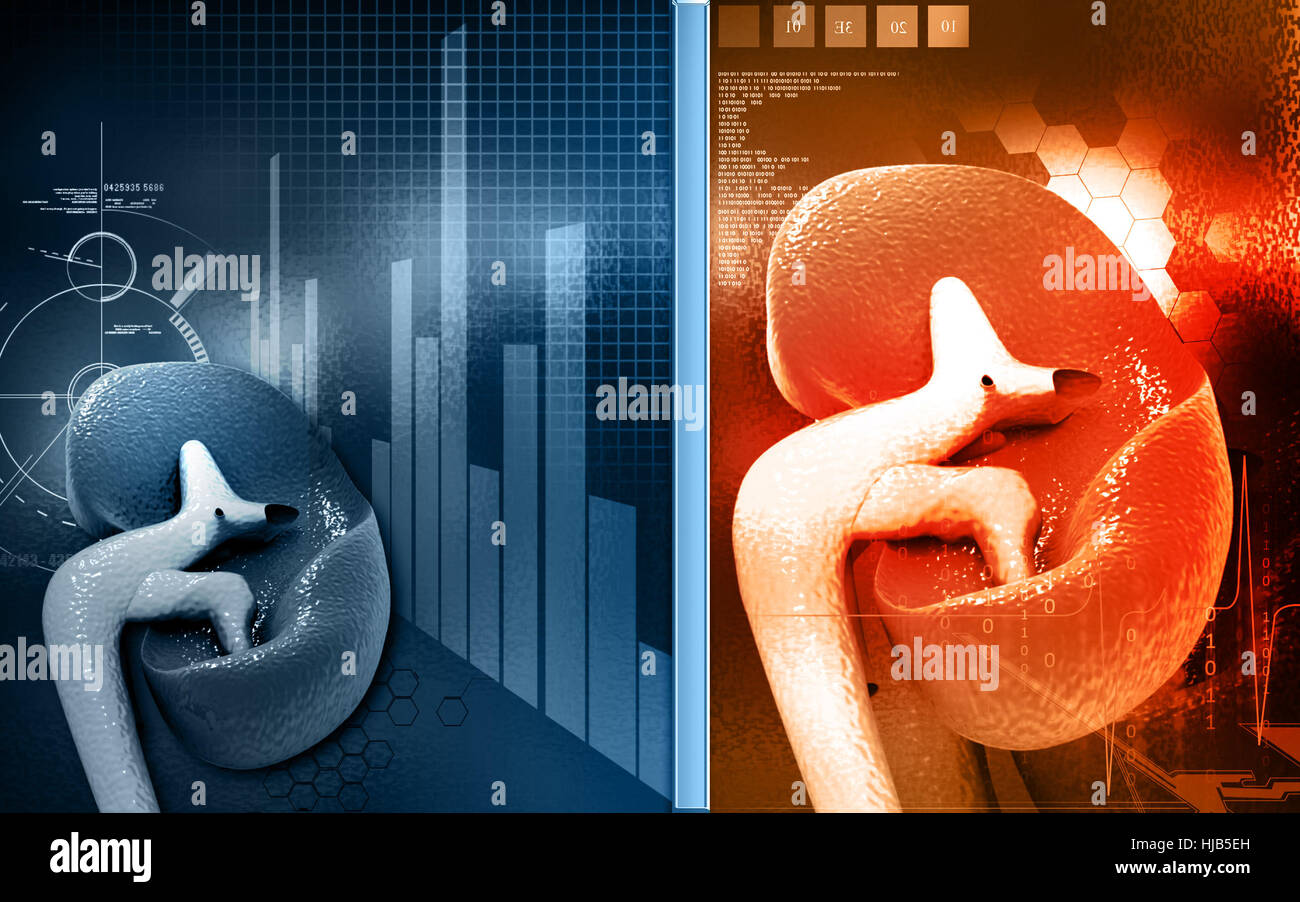 education, medicinally, medical, graphics, colour, illustration ...