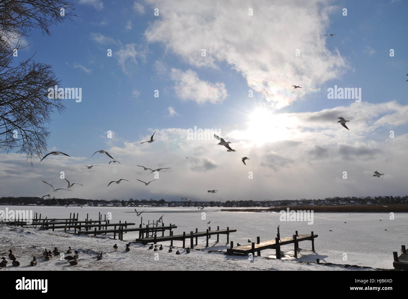 winter, sunrise, denmark, coast, firmament, sky, salt water, sea, ocean ...