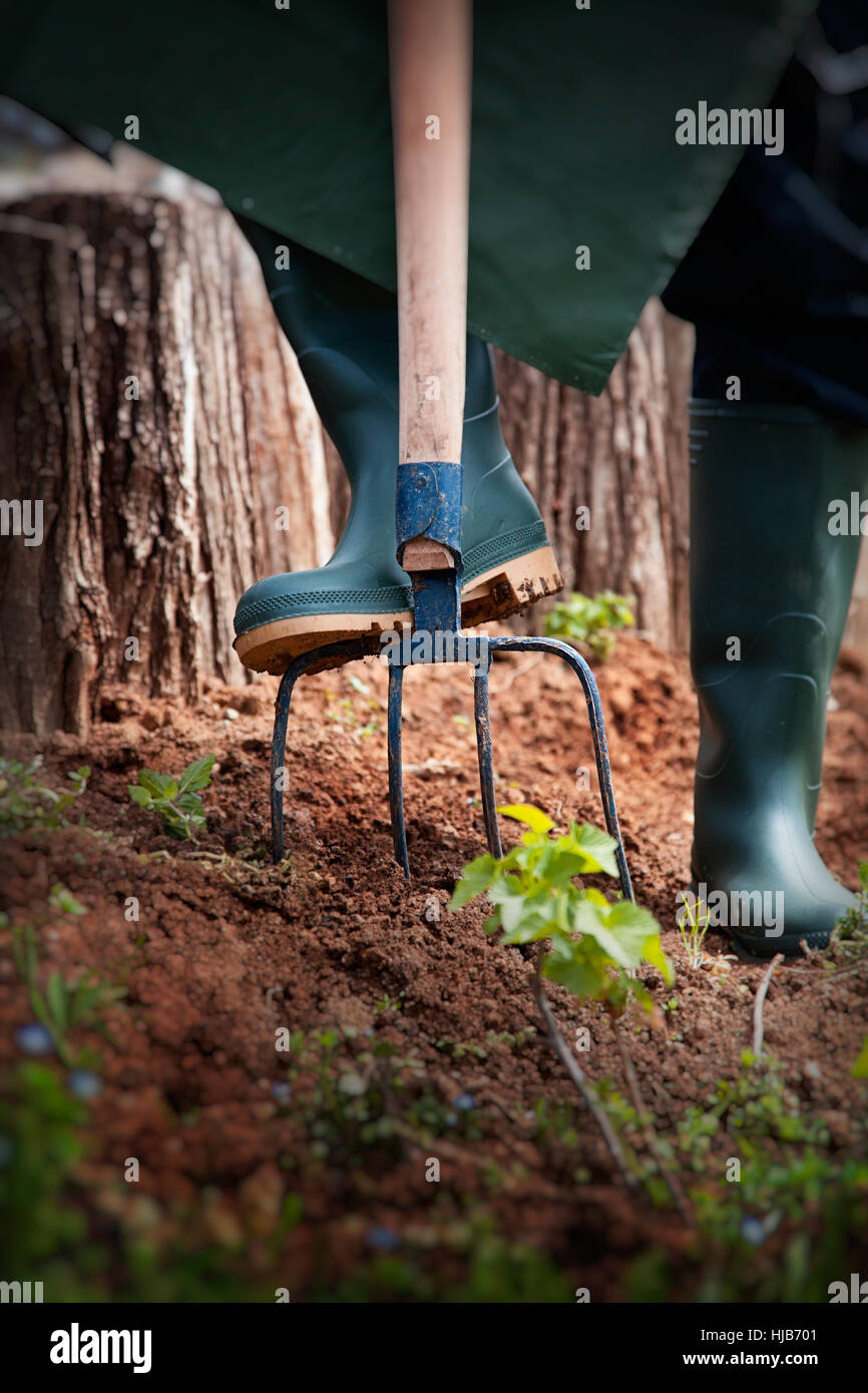 Allotment gardener man rural hi-res stock photography and images - Alamy