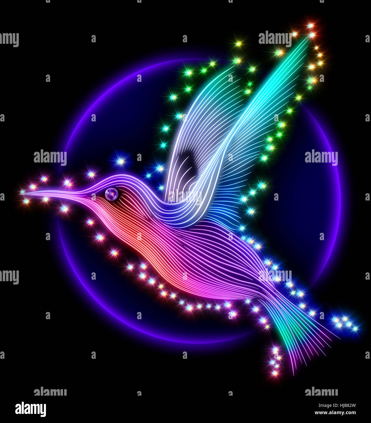 bird, creature, rainbow, hummingbird, wallpaper, stars, asterisks ...