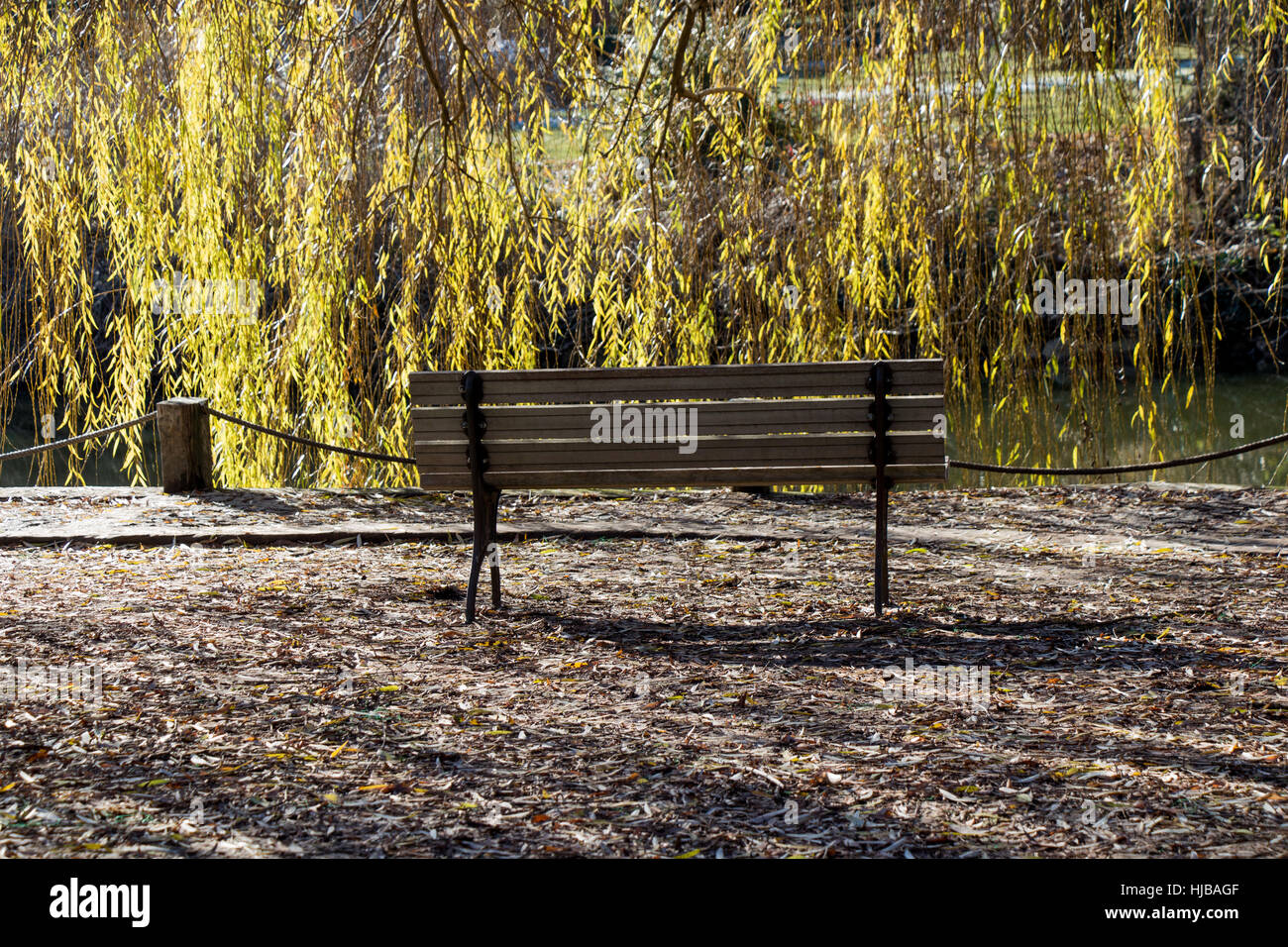 Wooden park bench at a park Stock Photo - Alamy