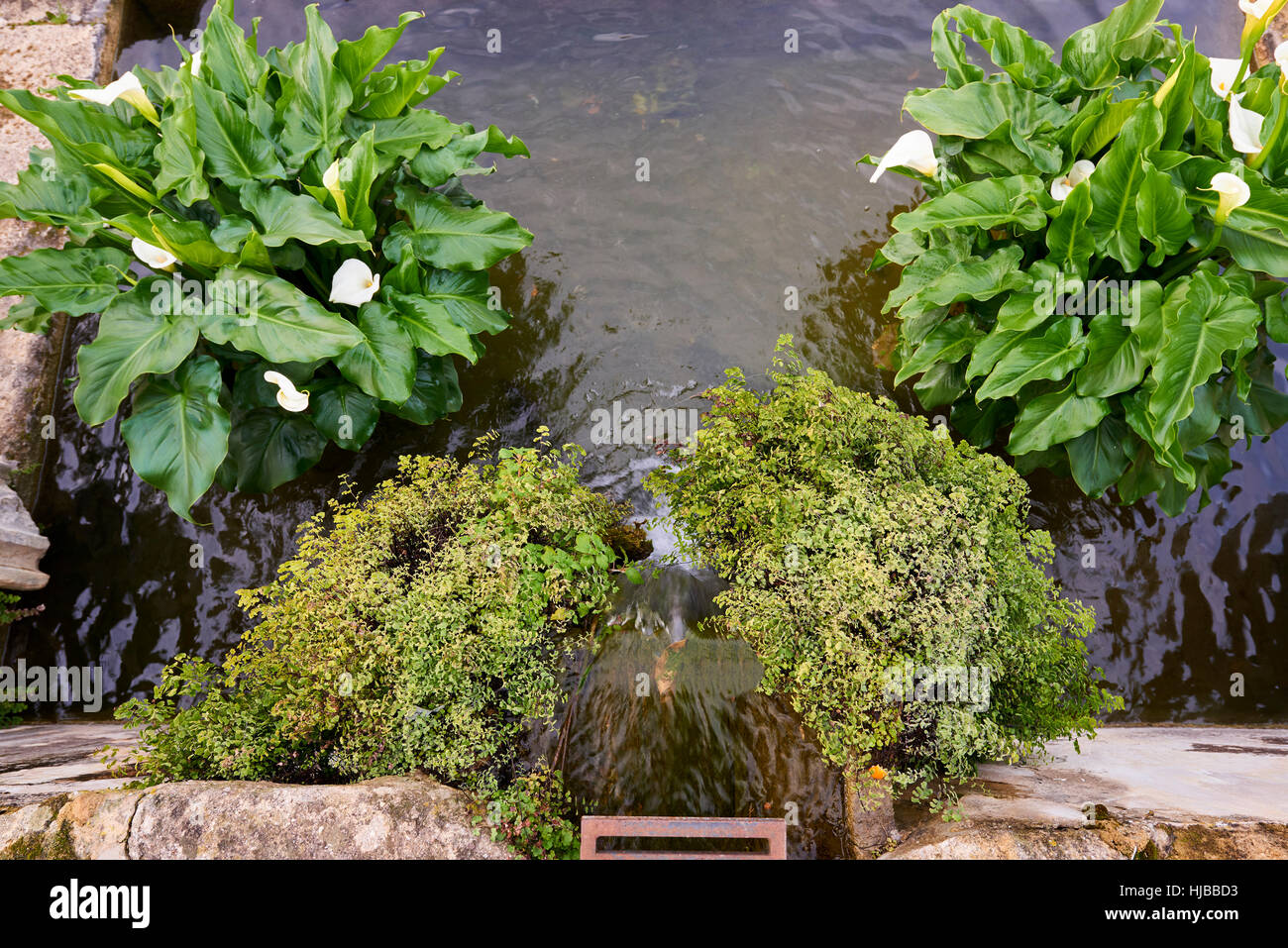 Alcazar christian kings cordoba hi-res stock photography and images - Alamy
