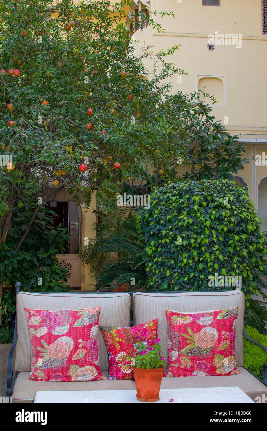 landscape of the nature of a fruit tree of grenades, landscape, the ...