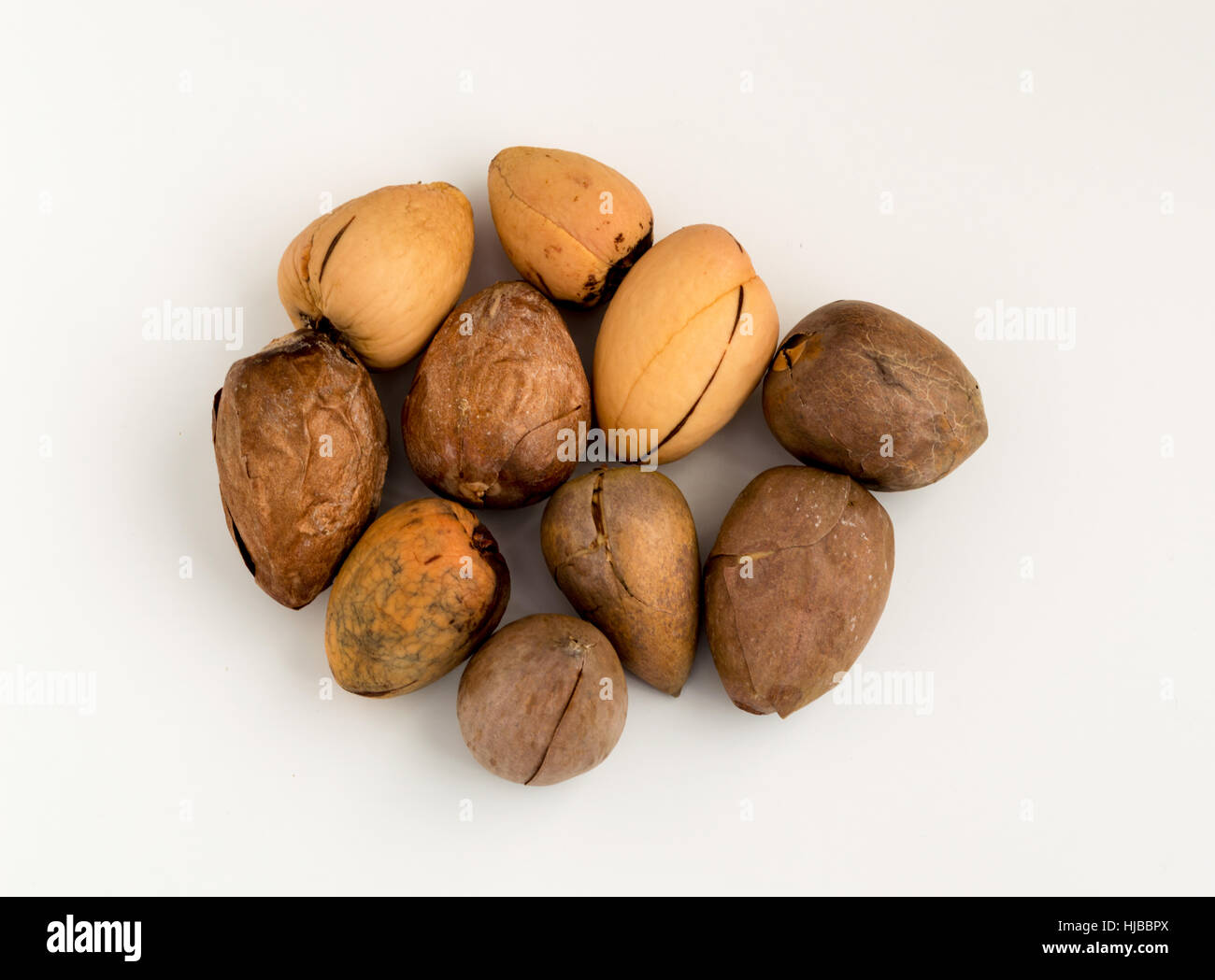 Group of avocado seeds isolated on a white background Stock Photo - Alamy