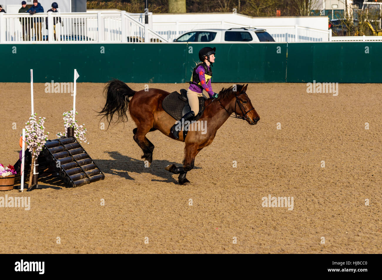 Horse Riding Over A Fence High Resolution Stock Photography and Images ...