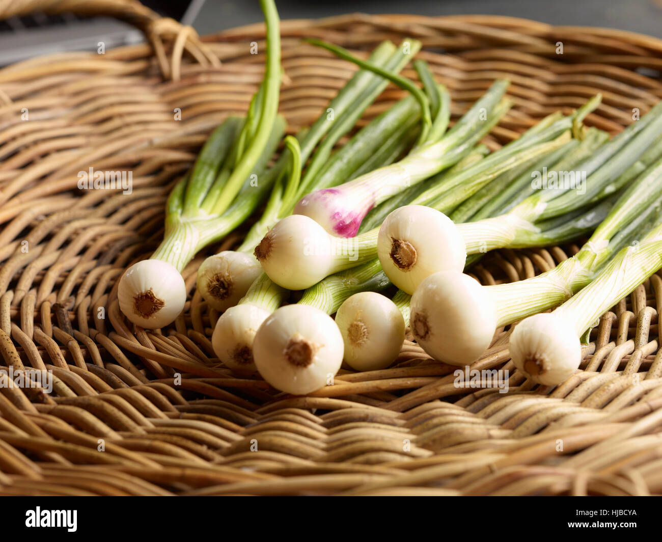 Group of spring onions hi-res stock photography and images - Alamy