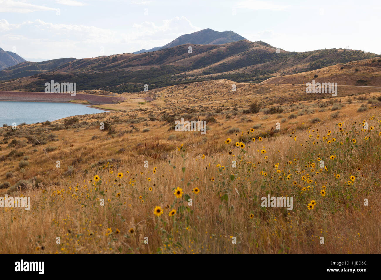 Little dell reservoir hi-res stock photography and images - Alamy