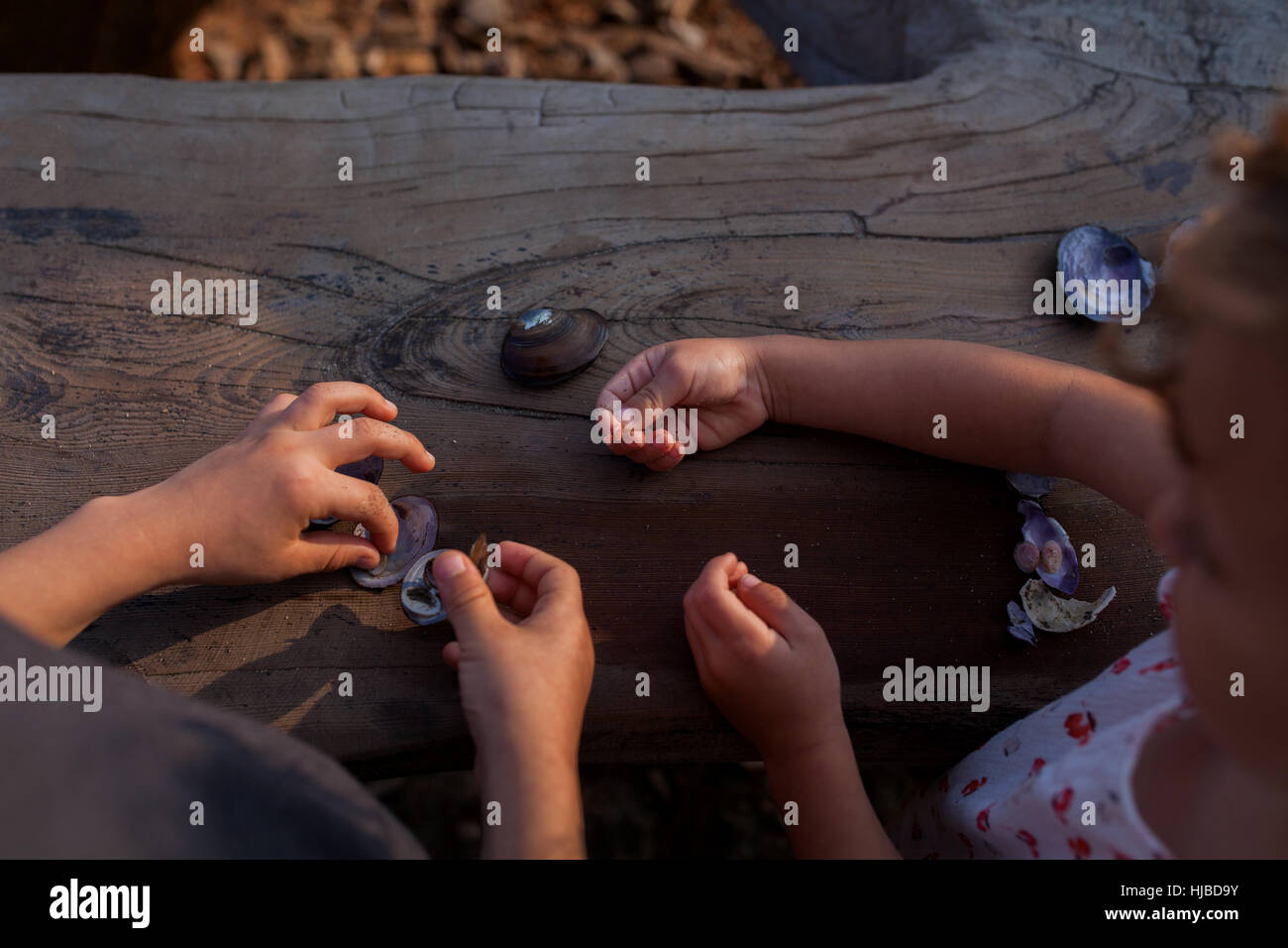 Seashells boy hi-res stock photography and images - Alamy