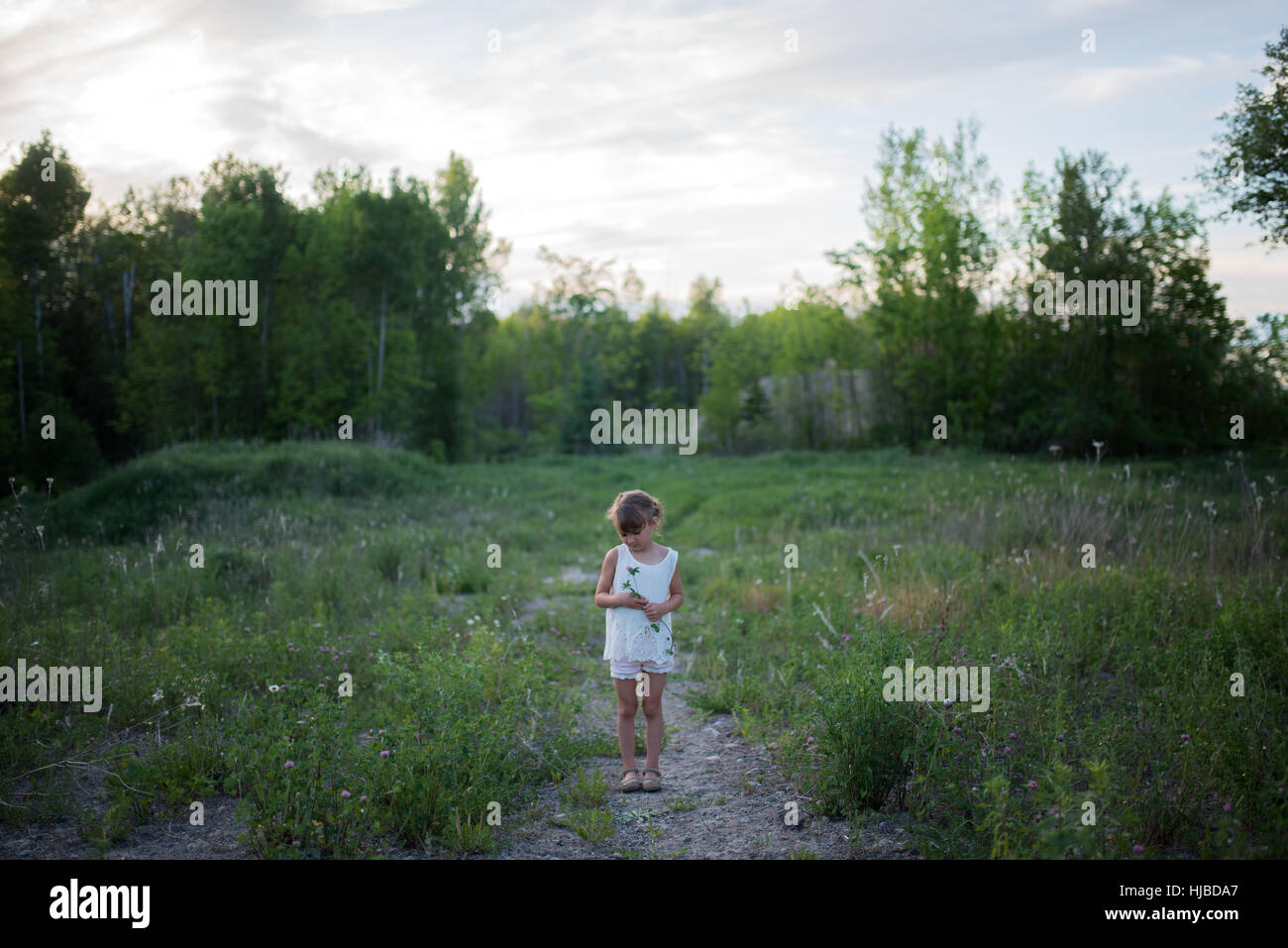 Little girl on grass field, Vancouver, British Columbia, Canada Stock ...