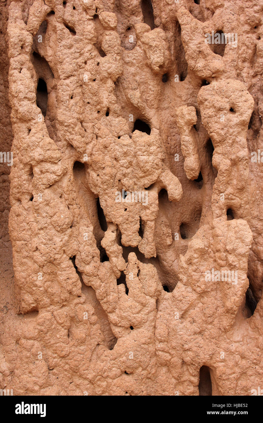 Termite Mound Detail Stock Photo - Alamy