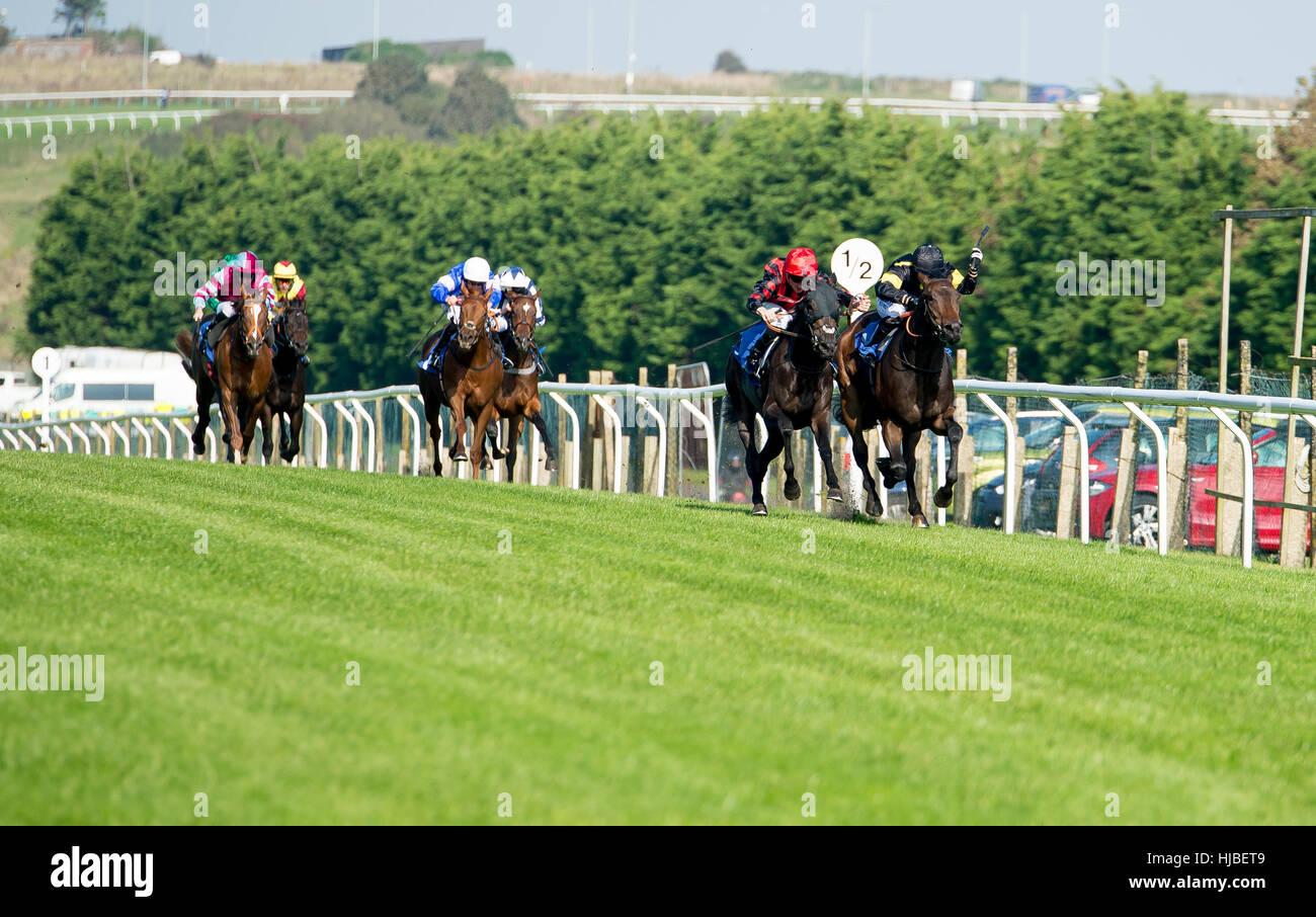 Horses race towards the finish line at Brighton racecourse, Sussex, UK ...