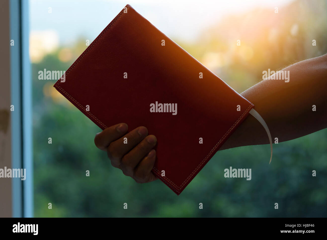 Hand holding book hi-res stock photography and images - Alamy