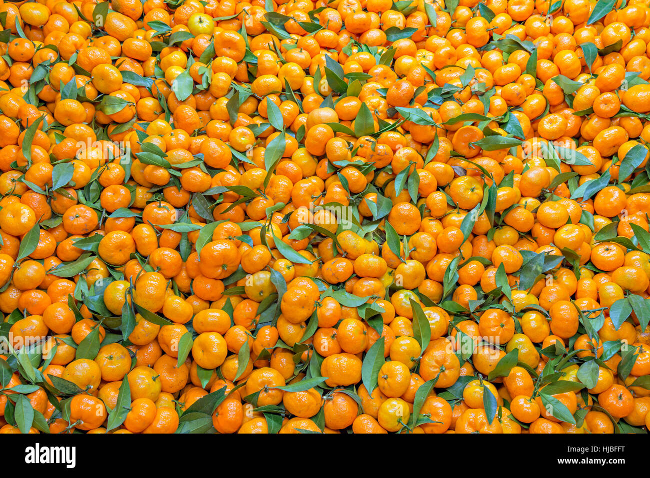 Fresh mandarin orange background in the fruit market Stock Photo - Alamy