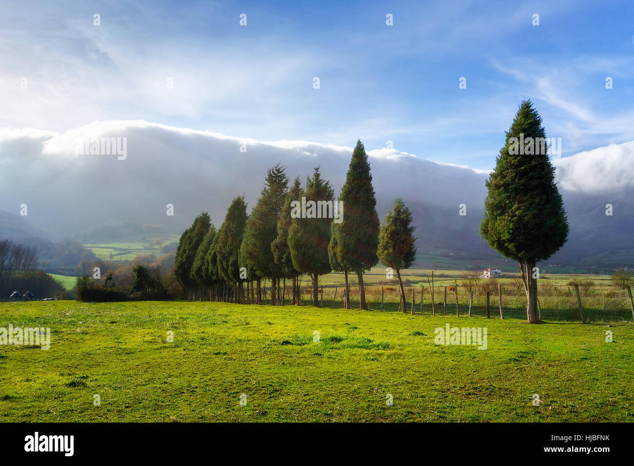 Valley of ayala hi-res stock photography and images - Alamy