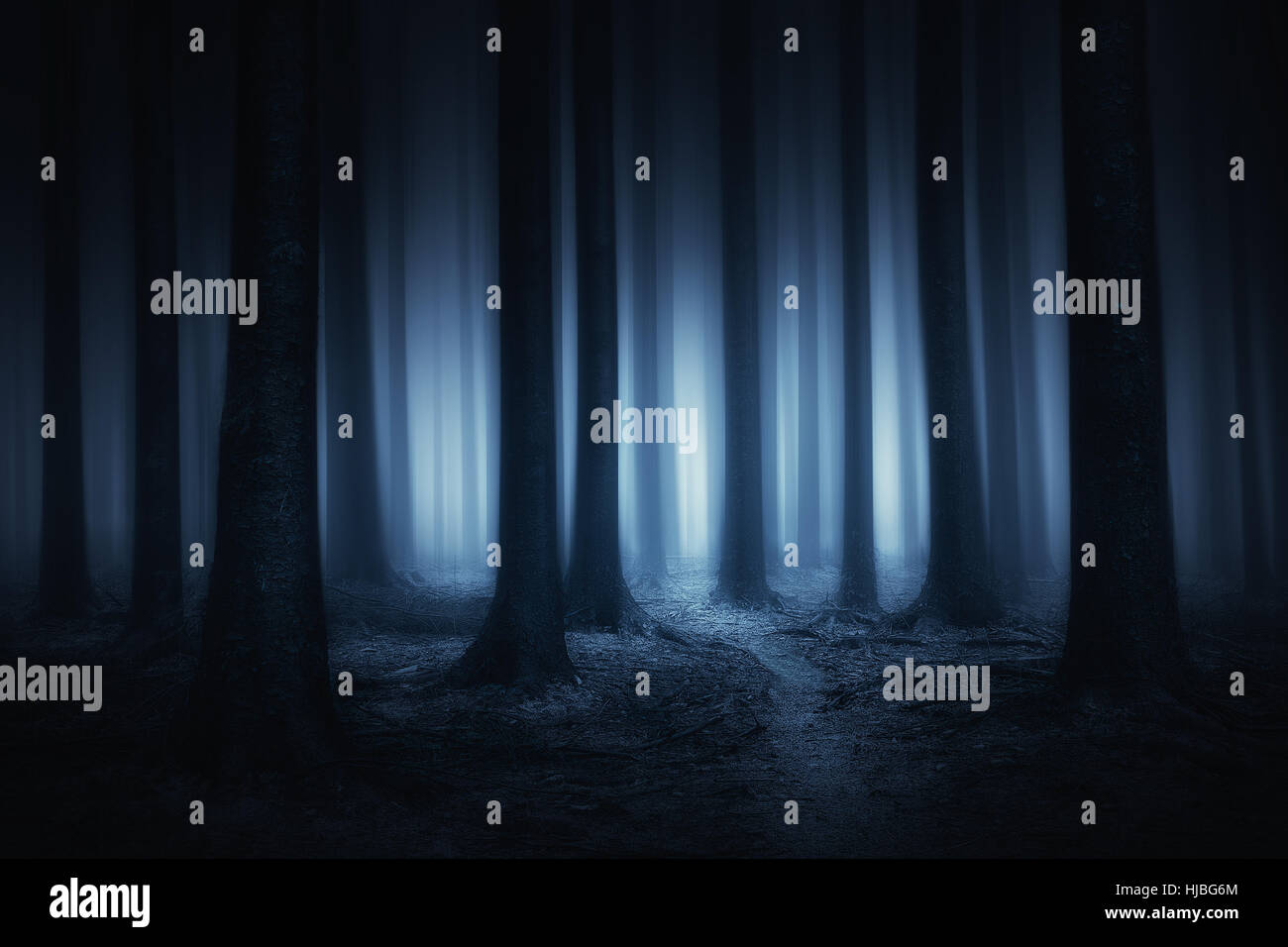 dark and scary forest at the night Stock Photo - Alamy
