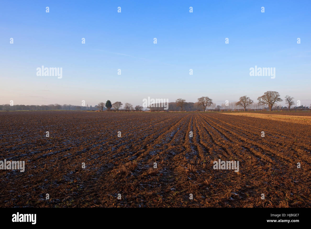 Patterns and texture of frosted plow soil with stubble and woodland in ...