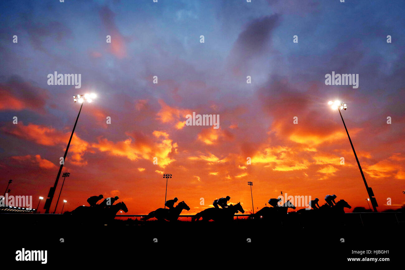 Betway handicap wolverhampton racecourse hi-res stock photography and ...