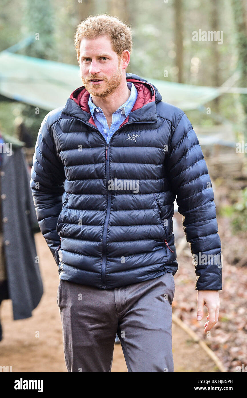 Prince Harry tours the woodland area during a visit to a Help For ...