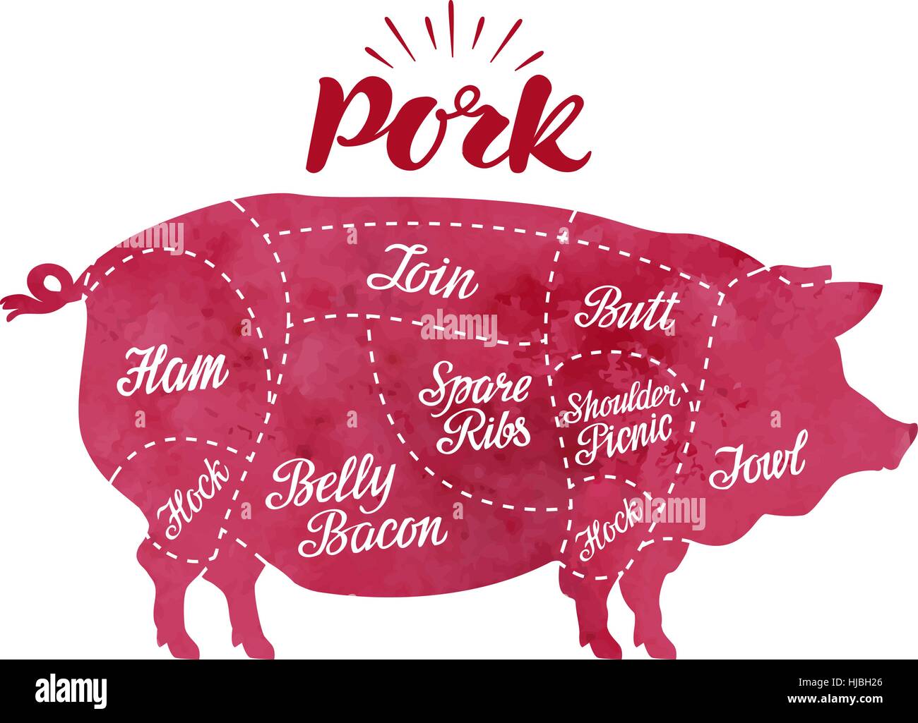 Diagram cutting pig meat. Butcher shop, pork vector illustration Stock ...