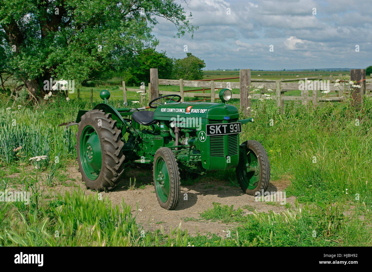 1954 Ferguson TEA vintage tractor Stock Photo - Alamy
