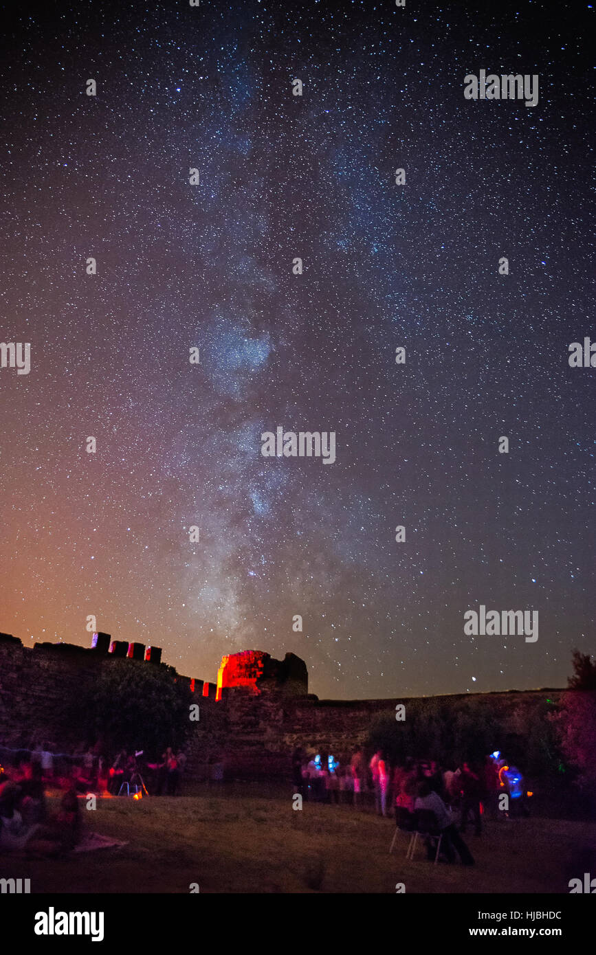 night sky with star on top of tree Stock Photo - Alamy