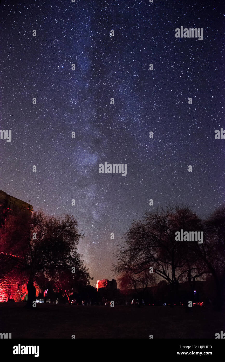 night sky with star on top of tree Stock Photo - Alamy