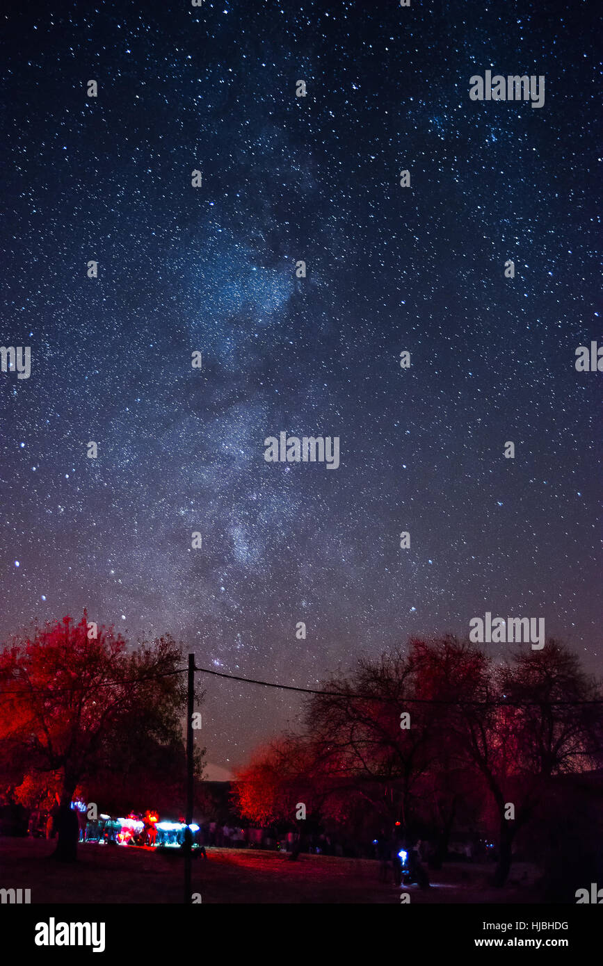 night sky with star on top of tree Stock Photo - Alamy