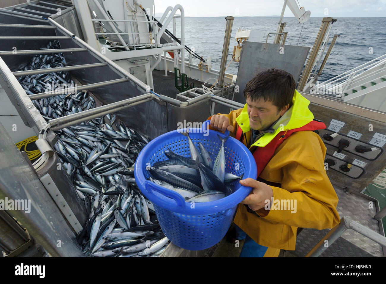 Fishing trawler catch hi-res stock photography and images - Alamy