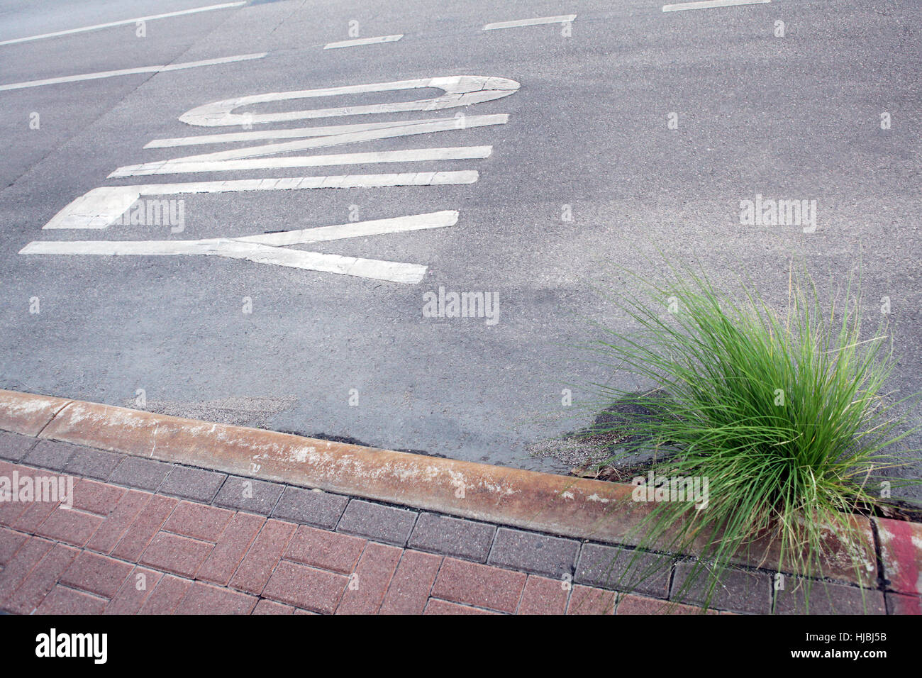 Text written on asphalt hi-res stock photography and images - Alamy
