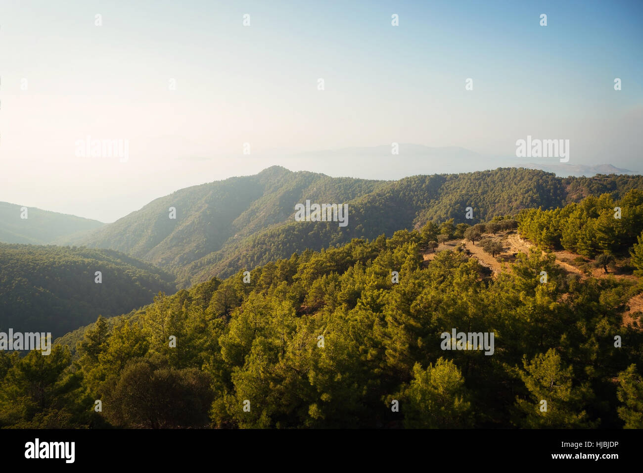 Rhodes mountain forest hi-res stock photography and images - Alamy
